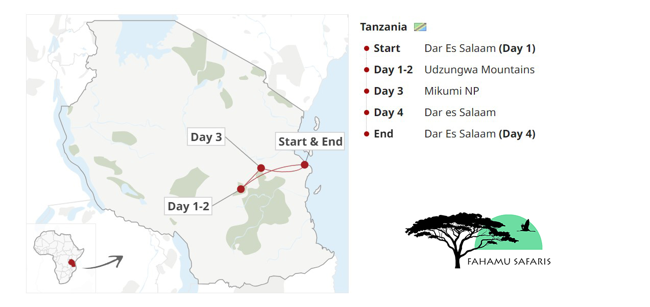 4 Days Udzungwa Mountains & Mikumi - Fahamu Safaris